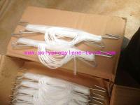 China 100% Virgin Polypropylene Twisted Greenhouse Twine For Tomato Tying for sale