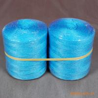 China 100% Virgin Polypropylene Twisted Greenhouse Twine For Tomato Tying for sale