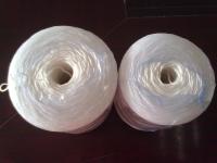 China Banana Polypropylene Baler Twine for sale