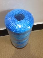 China Durable Tomato Tying Twine For Big Square And Round Agricultural Bales for sale