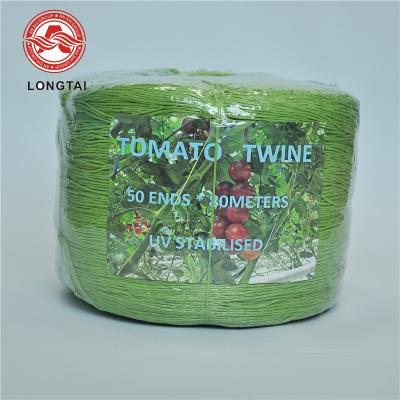 China agricultural polypropylene twine for sale
