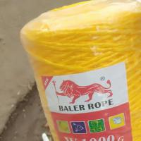 China Yellow Color 2mm Pp Baler Twine 1000g 2000g For Agriculture Packing for sale
