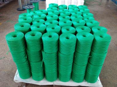 China Mexico UV Additive Raffia Twine Packing Rope 1200m/Kg 1000m/Kg Twisted High Tenacity for sale