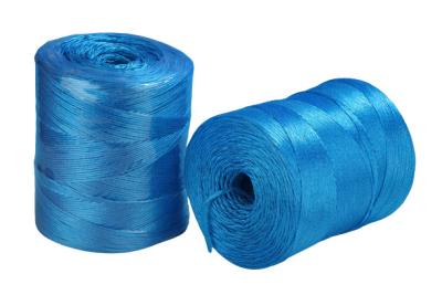 China High Strength Polypropylene Tomato Twine For 2mm / 3mm With UV Resistance for sale