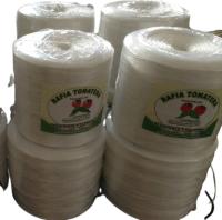 China Ecuador Split Twisted Tomato Supporting PP Twine 6000D 1MM Blue 2-3kg/Roll for sale