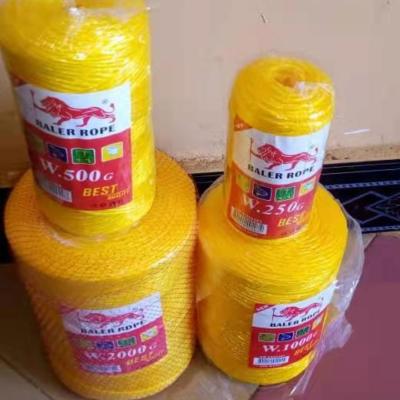 China 2mm 500G 1000G 2000G Agriculture PP Virgin Polypropylene Twine Rope for sale