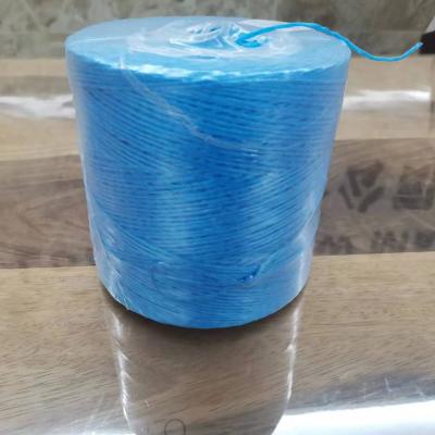 China 3-5kgs/Spool Polypropylene Plastic Raffia Twisted Tomato Twine For Agriculture for sale