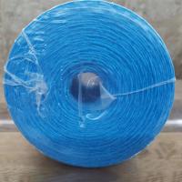 China 3-5kgs/Spool Polypropylene Plastic Raffia Twisted Tomato Twine For Agriculture for sale