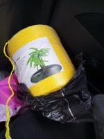 China 100% Virgin Polypropylene Banana Hanging Twine Fruit Tying 500m/Kg 400m/Kg for sale