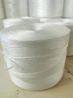 China 1000m/kg 1200m/kg White Polypropylene PP Tomato Grow Tying Strong Twine for Field or Greenhouse Use for sale