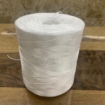 China UV Stabilisation White Agro Supporting Tomato Twine 1000m/Kg 1200m/Kg 1500m/Kg for sale