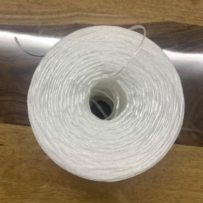 China Anti UV Agriculture Tomato Twine Polypropylene Twisted Thread White 1g/M 2-5kg/Roll for sale