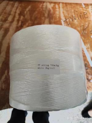 China High Tensile 300N Polypropylene Cordage 5KG For Agricultural Industries for sale