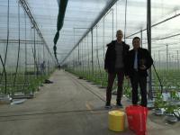 China Tubeless Greenhouse Twine 5kg Roll Weight And High Reliability for sale