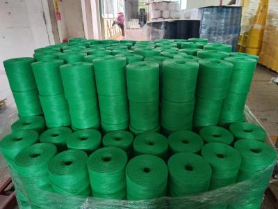 China corde pour attacher tomate for sale