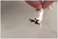China High Strength Flame Retardant Filler , Polyester Cotton Yarn For Wire Filling for sale