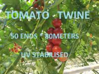China Greenhouse Tomato Tying Twine Colorful Plastic Garden Packing Raffia String for sale