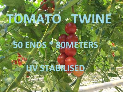 China Greenhouse Tomato Tying Twine Colorful Plastic Garden Packing Raffia String for sale
