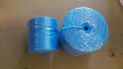 China Tomato PP Baler Twine In Agriculture UV Protection With High Strength for sale