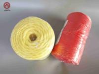China 2mm Twisted Polypropylene Banana Twine Using With High Tenacity For Agriculture Packing for sale