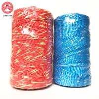 China 5mm 2 Ply Twisted Colorful Polypropylene Baling Twine With High Breaking Strength for sale