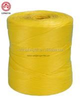 China UV Resistant Polypropylene Twine with High Tensile Strength and Lightweight for Agricultural and Packaging Use for sale