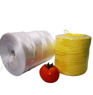 China Colorful PP Polypropylene Twine Rope UV Resistant High Strength Twisted Baler Twine for Farm Greenhouse Garden Tomato Vine Support Bundling Packing for sale