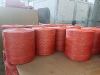 China 100 Percent Polypropylene Baler Twine Straw Baler Twine Durable Twine for Crop Bale Packaging and Handling for sale