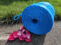 China Blue Banana Rope Roll Weight 5kg Durable Strong Rope Ideal for Industrial Packaging and Heavy Duty Applications for sale