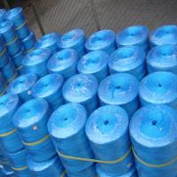 China UV Resistant High Tensile Strength Polypropylene Baler Twine with Customizable Length for Agriculture for sale