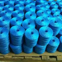 China UV Resistant High Tensile Strength Polypropylene Baler Twine with Customizable Length for Agriculture for sale