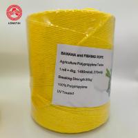 China UV Resistant Polypropylene Twine with High Tensile Strength and Lightweight for Agricultural and Packaging Use for sale