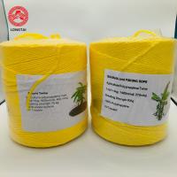 China UV Resistant High Tensile Strength PP Baler Twine with Customizable Length for hay baler for sale