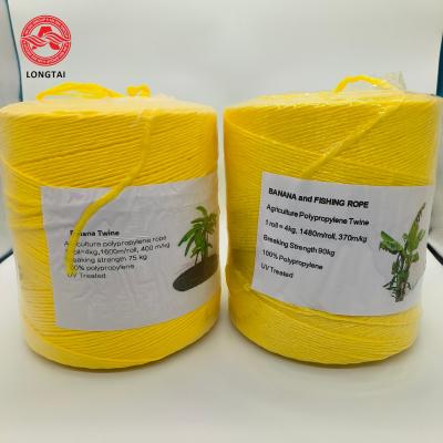 China UV Resistant High Tensile Strength PP Baler Twine with Customizable Length for hay baler for sale