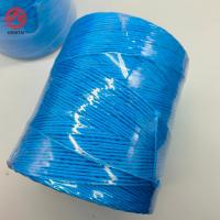 China UV Resistant High Tensile Strength PP Baler Twine with Customizable Length for hay baler for sale