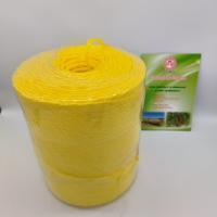 China UV Resistant High Tensile Strength Polypropylene Baler Twine with Customizable Length for Agriculture for sale