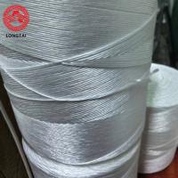 China 7500D/9000D Denier Tomato Tying Twine with 26.5KGF / 31.5KGF Breaking Strength and Customizable Color for Agriculture for sale