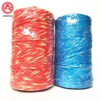 China UV Stabilized Polypropylene Twine with High Breaking Strength and Customized Colors for Agricultural Use for sale
