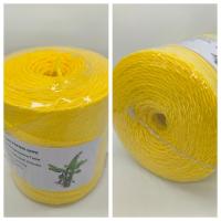 China UV Stabilized PP Agriculture Trellis Twine with High Tensile Strength for Tomato and Cucumber Climbing Support for sale
