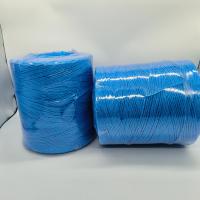 China UV Resistant / UV Stabilized Plant Trellising & Vine Support Split Film PP Twine for tomato,cucumber in greenhouse or Open field for sale