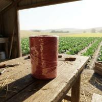 China Recyclable Fibrillated PP Twine For Agricultural Plant Tying for sale