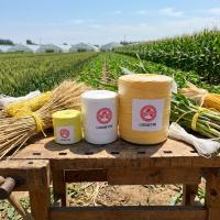 China Recyclable Fibrillated PP Twine For Agricultural Plant Tying for sale