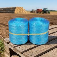 China Recyclable Fibrillated PP Twine For Agricultural Plant Tying for sale