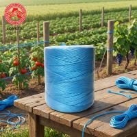 China Recyclable Fibrillated PP Twine For Agricultural Plant Tying for sale