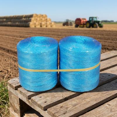 China 1200D Tex PP Twine Twisted 3 Strand Agricultural Binding Twine for sale