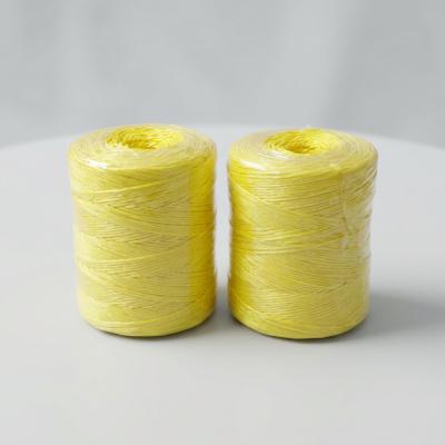 China Support heavy banana twine propping to prevent plantain plants breaking or falling down for sale
