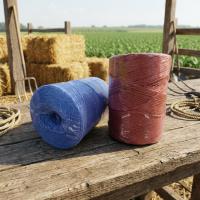 China UV Resistant High Tensile Strength PP net wrap Baler Twine with Customizable Length for hay baler for sale