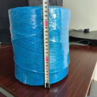 China Полипропиленовый шпагат PP Tying Twine с высокой прочностью на разрыв, влагостойкостью и УФ-стабилизатором for sale