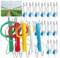China Tomato Roller Hook with Twine | Greenhouse Plant Support Hook for Tomato, Cucumber and Vine Crops for sale