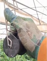 China Tomato Roller Hook with Twine | Greenhouse Plant Support Hook for Tomato, Cucumber and Vine Crops for sale
